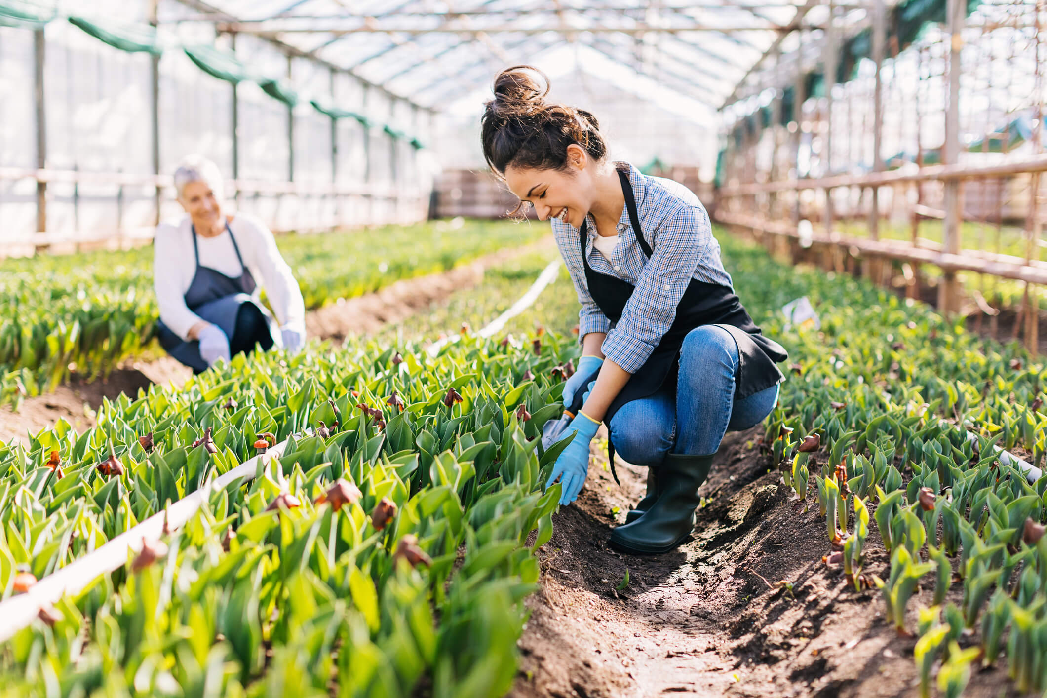 ¿cómo Se Puede Conservar El Medio Ambiente Por Medio De La Agricultura