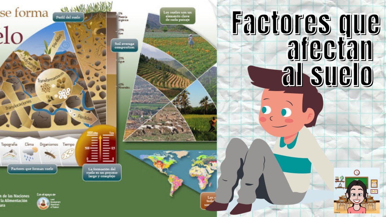 ¿Cuáles son los factores que afectan la fertilidad del suelo?: Factores ... ¿Cuáles son los factores que afectan la fertilidad del suelo?: Factores ...