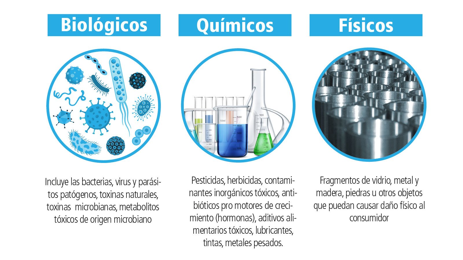 ¿Qué significan las siglas HACCP en español?: HACCP en español ... ¿Qué significan las siglas HACCP en español?: HACCP en español ...