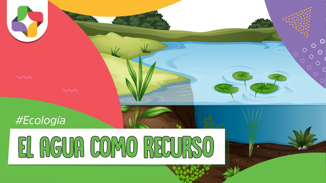 ¿Qué tipo de recurso natural es el agua?: Importancia del agua como ... ¿Qué tipo de recurso natural es el agua?: Importancia del agua como ...