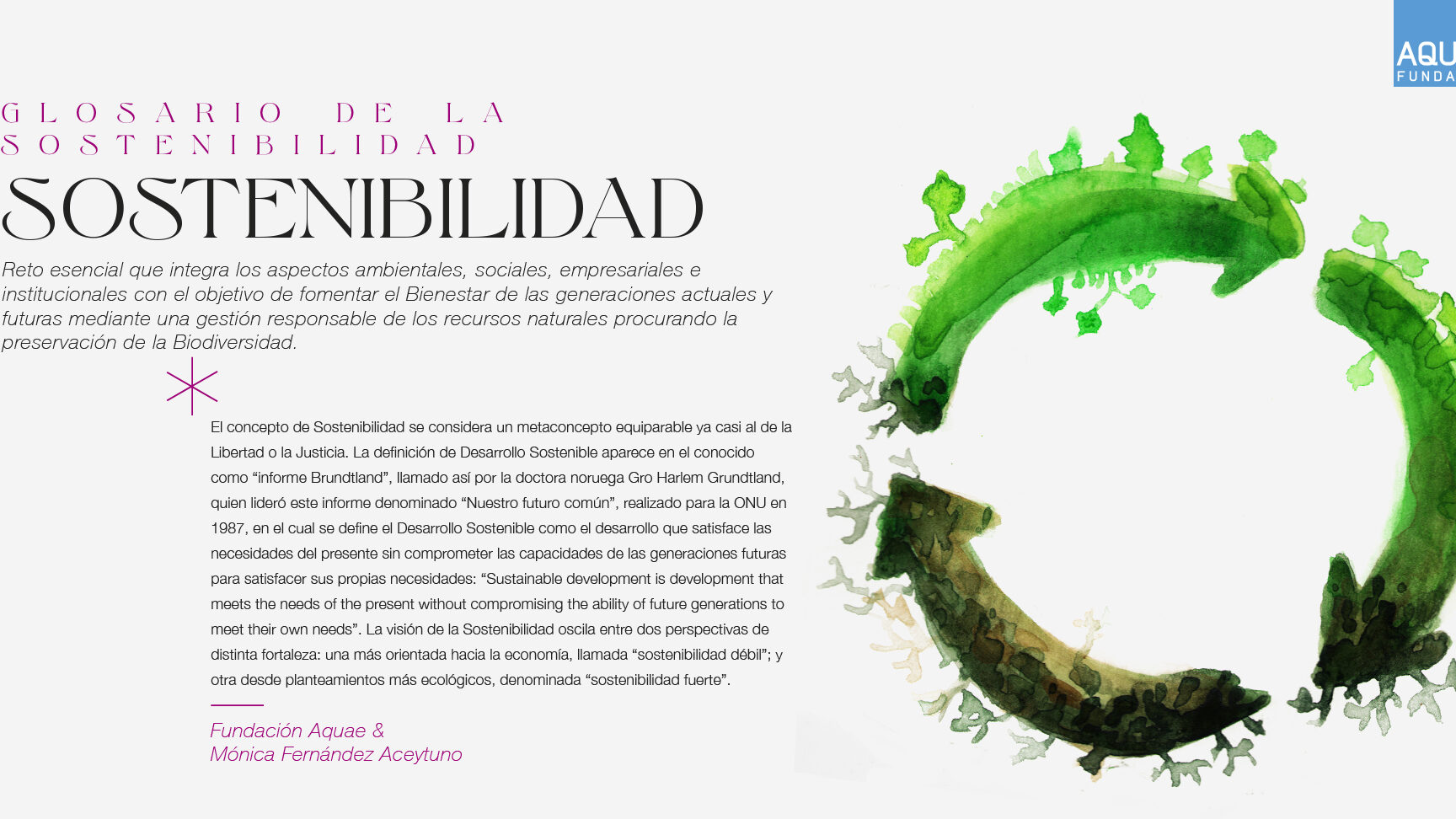 ¿cuál Es La Importancia De La Agroecología Descubre Por Qué La