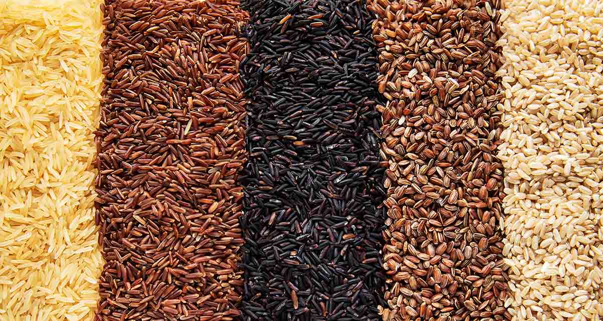 ¿cuáles Son Los Diferentes Tipos De Arroz 5 Tipos De Arroz Y Cómo Usarlos En Tus Recetas
