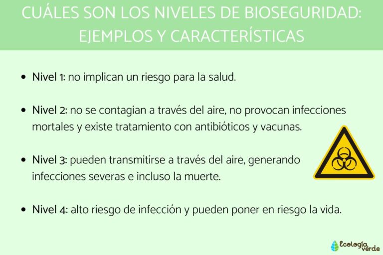 ¿Cuántos niveles de bioseguridad hay y cuáles son?: Descubre los 4 ... ¿Cuántos niveles de bioseguridad hay y cuáles son?: Descubre los 4 ...